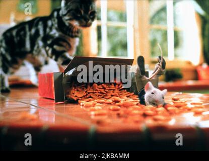 STUART LITTLE, cat, 1999. © Columbia Pictures / courtesy Everett ...