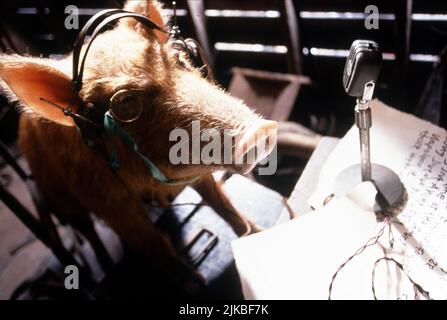 SQUEALER, ANIMAL FARM, 1999 Stock Photo - Alamy