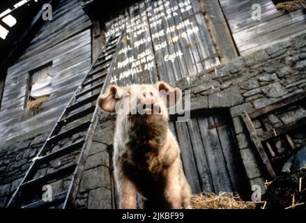 SNOWBALL, ANIMAL FARM, 1999 Stock Photo - Alamy