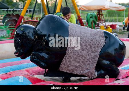 Mechanical Bull (bucking machine) ride at the Carbon Alberta Canada ...