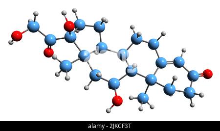 3D image of Cortisol skeletal formula - molecular chemical structure of ...