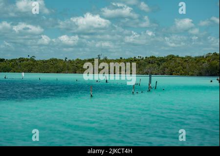 A breathtaking view of Laguna de Kaan Luum against blue cloudy sky ...