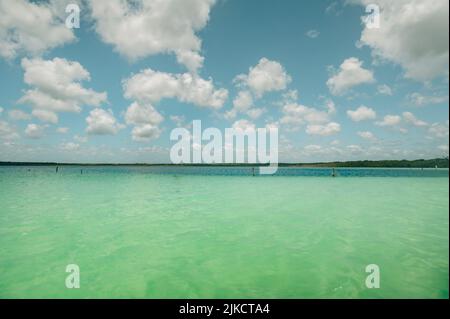 A breathtaking view of Laguna de Kaan Luum surrounded by lush greenery ...