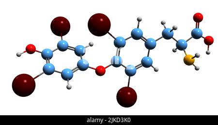 3D image of Thyroid-stimulating hormone skeletal formula - molecular ...