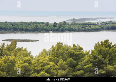 Divjake-Karavasta National Park in ALBANIA. Domesticated Wild Pelican ...