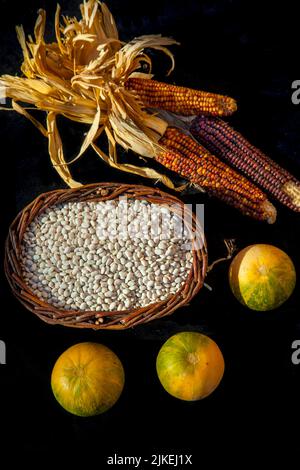Maize (corn), tepary beans and squash are traditional foods of many ...