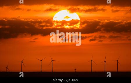 Hanover, Germany. 02nd Aug, 2022. The sun rises behind wind turbines in ...