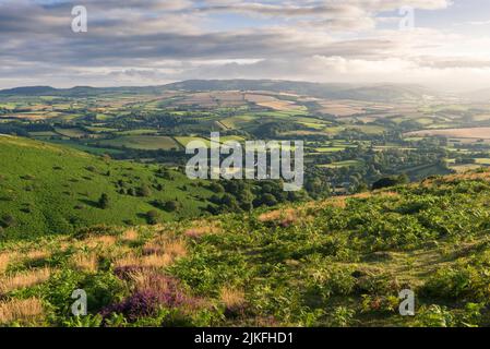 A late summer view from Weacombe Hill in the Quantock Hills over the ...