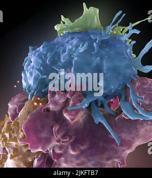 3D structure of HIV infected (blue, green) and uninfected (brown ...