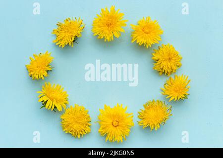 Pattern of yellow meadow dandelions blossoms. Flowers summer symbol ...