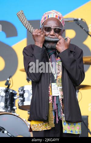 Osibisa perform on stage during the 40th Anniversary of the WOMAD ...