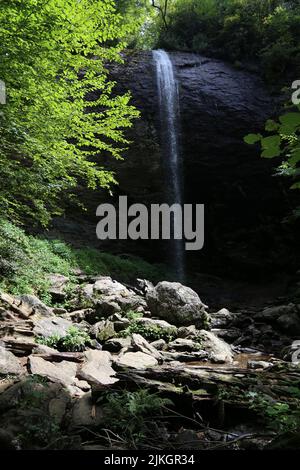 A waterfall flowing from rocks surrounded by trees Stock Photo - Alamy
