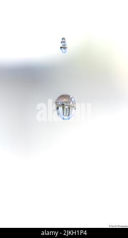 A vertical shot of a small drops of water on purple flower leaves Stock ...