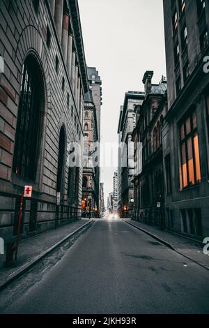 A vertical shot of a street in Montreal in winter with "Palestine Libre ...