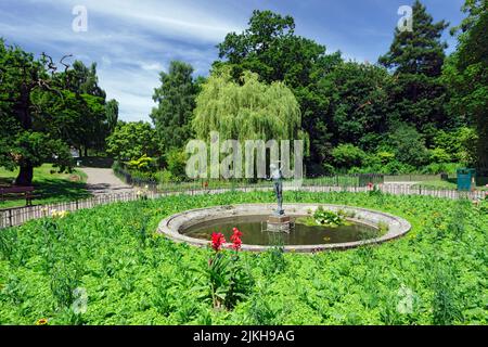 Flower bed and pond, Thompsons Park, Canton, Cardifff, Wales Stock ...