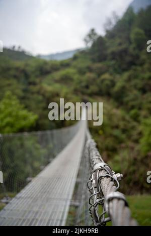 A vertical shot of a bridge in the forest Stock Photo - Alamy