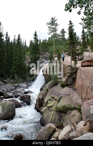 A vertical shot of a rocky mountain with green plants under a cloudy ...