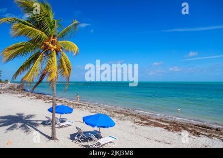 A beautiful view of the calm ocean gleaming under the cloudy blue sky ...
