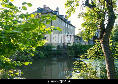 Weimar, Thuringia, park at the Ilm, swing bridge, oldest preserved ...