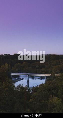 A vertical shot of a bridge surrounded by lush vegetation. Winter ...