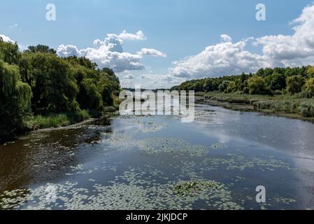River surrounded by trees under a cloudy sky Stock Photo - Alamy