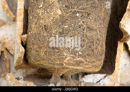 broken clay pot Stock Photo - Alamy