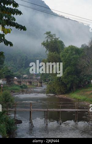 A vertical shot of a bridge over the river surrounded by lush green ...