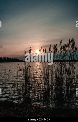 A scenic sunset at Lake Tegel connected to the River Havel in Berlin ...