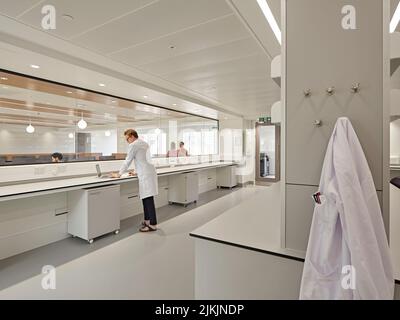 Lab interior with large window and communal workspace. Dorothy Crowfoot ...