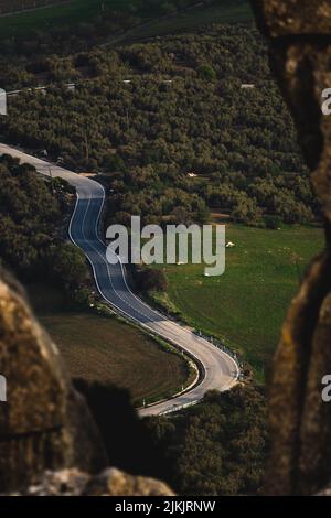 A beautiful shot of an asphalt road going through a farm with green ...