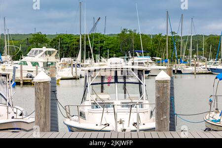 a full marina at three mile harbor Stock Photo - Alamy