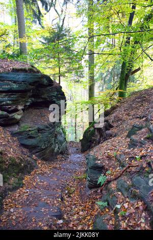 The beautiful nature in the Mullerthal region of Luxembourg, nearby the ...