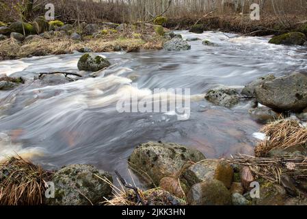 A beautiful view of a Salaca river flows over stones through the woods ...