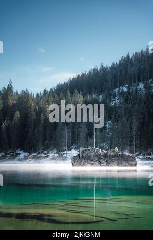A photo of trees and nature in Caumasee lake near Flims, in the Grisons ...