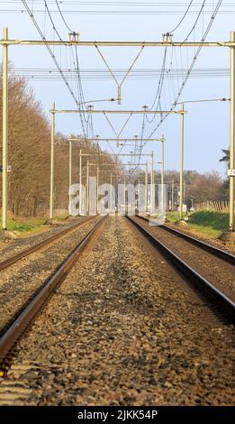 Vertical shot of train tracks in a gloomy forest Stock Photo - Alamy
