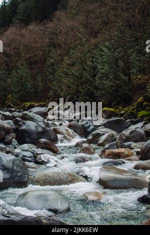 A beautiful shot of a river surrounded by trees on a sunny day Stock ...