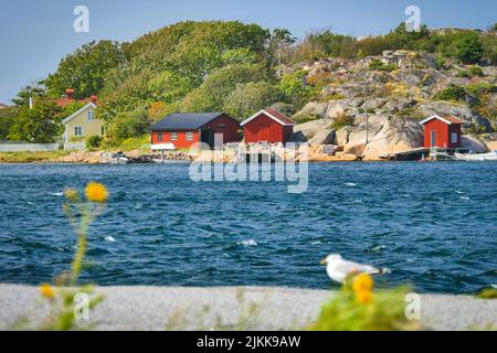 A beautiful view of the Kingdom of Sweden with sunlight Stock Photo - Alamy