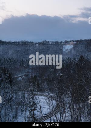 A vertical shot of a white beautiful resort building with bushes and ...