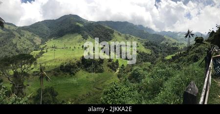 A beautiful shot of tall trees covered in snow in a forest Stock Photo ...