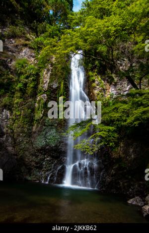 A vertical shot of a flowing splashing stream in the Mont Blanc ...