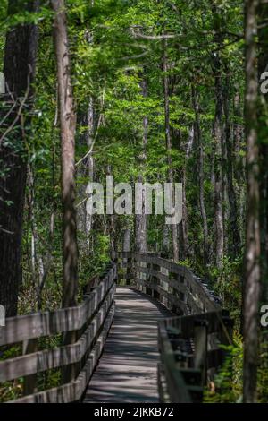 A vertical shot of a narrow pathway with trees Stock Photo - Alamy
