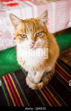 Lovely cute red-haired little girl in the autumn park outdoors. Lovely ...