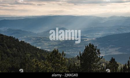 An aerial view of arid lands with dense forests and scattered bushes on ...