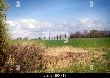 The green field with the leafless trees and cloudy sky in the ...