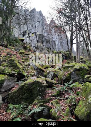 Shot of mossy stones in a green forest Stock Photo - Alamy