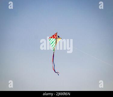 A low-angle shot of a Red Kite bird flying with wide opened wings in a ...