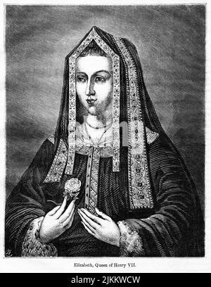 Elizabeth of York, Queen of Henry VII, Medieval womens fashion 16th ...