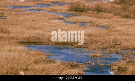 A brown swampy marshland with blue puddles Stock Photo - Alamy
