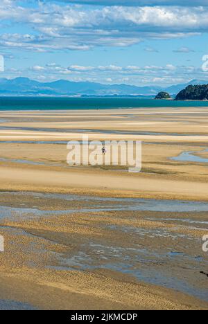 Low tide walk at Marahau Beach in the Abel Tasman National Park South Island New Zealand Stock ...
