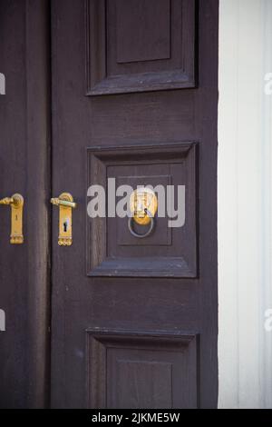 A vertical shot of a golden knocker of a vintage green gate Stock Photo ...